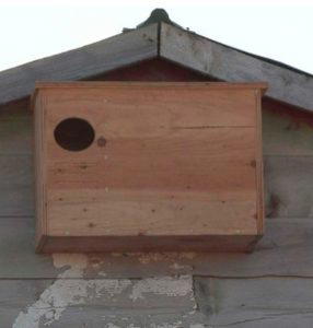 15 Free DIY Barn Owl Box Plans For Your Garden - Mint Design Blog