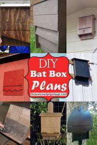 21 Free DIY Bat Box Plans To Make Today - Mint Design Blog
