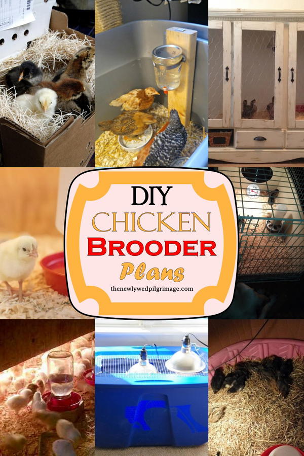 16 DIY Chicken Brooder Plans - Mint Design Blog