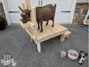 17 DIY Goat Milking Stands You Can Make Today - Mint Design Blog