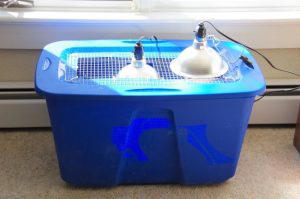 16 DIY Chicken Brooder Plans - Mint Design Blog