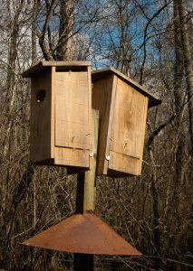 16 DIY Wood Duck Box Plans For Duckies Lovers - Mint Design Blog