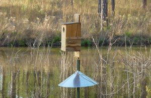 16 DIY Wood Duck Box Plans For Duckies Lovers - Mint Design Blog