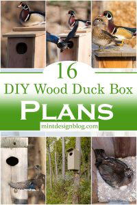 16 DIY Wood Duck Box Plans For Duckies Lovers - Mint Design Blog