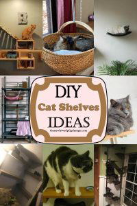 20 DIY Cat Shelves Ideas - Mint Design Blog