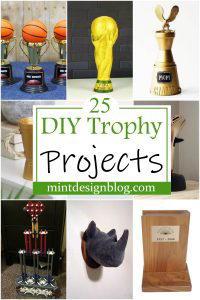 25 DIY Trophy Projects - How To Make Trophy At Home - Mint Design Blog