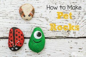 20 DIY Pet Rocks Ideas For Kids Fun - Mint Design Blog