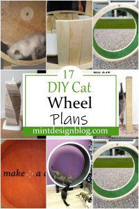 17 DIY Cat Wheel Plans - Mint Design Blog