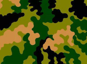 20 DIY Camo Pattern Ideas With Paint - Mint Design Blog