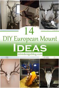 14 DIY European Mount Ideas For Classical Hunters - Mint Design Blog