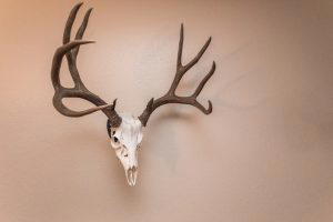14 DIY European Mount Ideas For Classical Hunters - Mint Design Blog