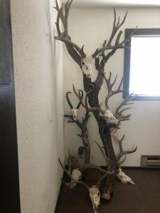 14 DIY European Mount Ideas For Classical Hunters - Mint Design Blog