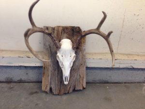 14 DIY European Mount Ideas For Classical Hunters - Mint Design Blog